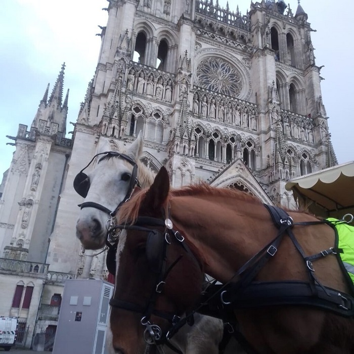 Visite guidée de la Cathédrale - Amiens Tourisme