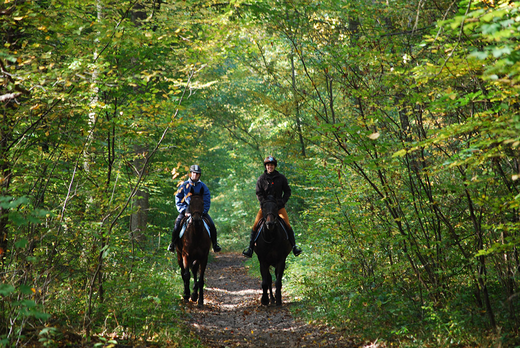 National Forest de Compiègne - Compiegne-Pierrefonds