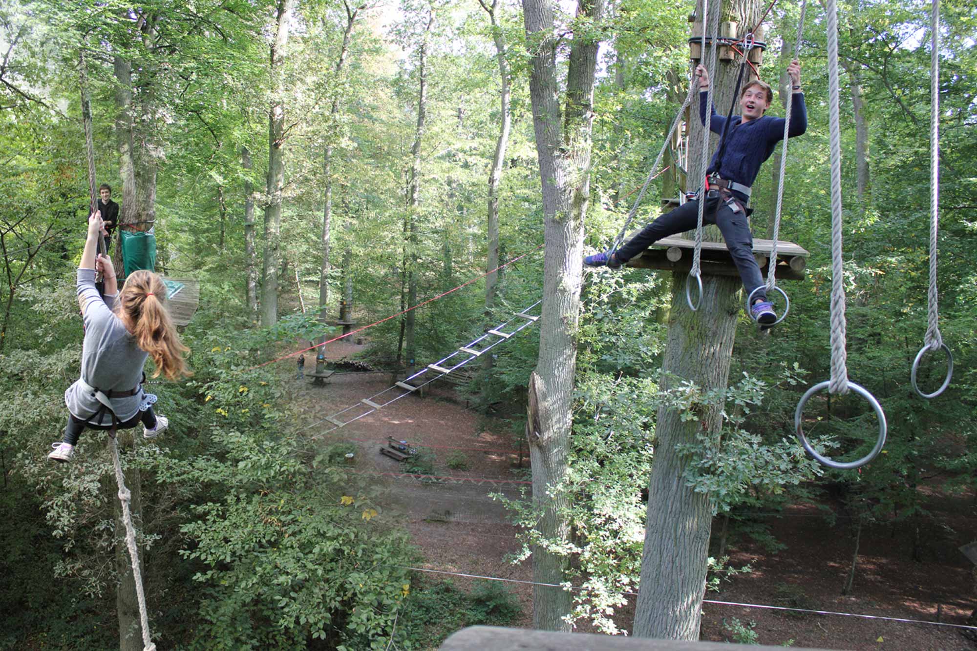 Grimp à l’arb - Compiègne-Pierrefonds
