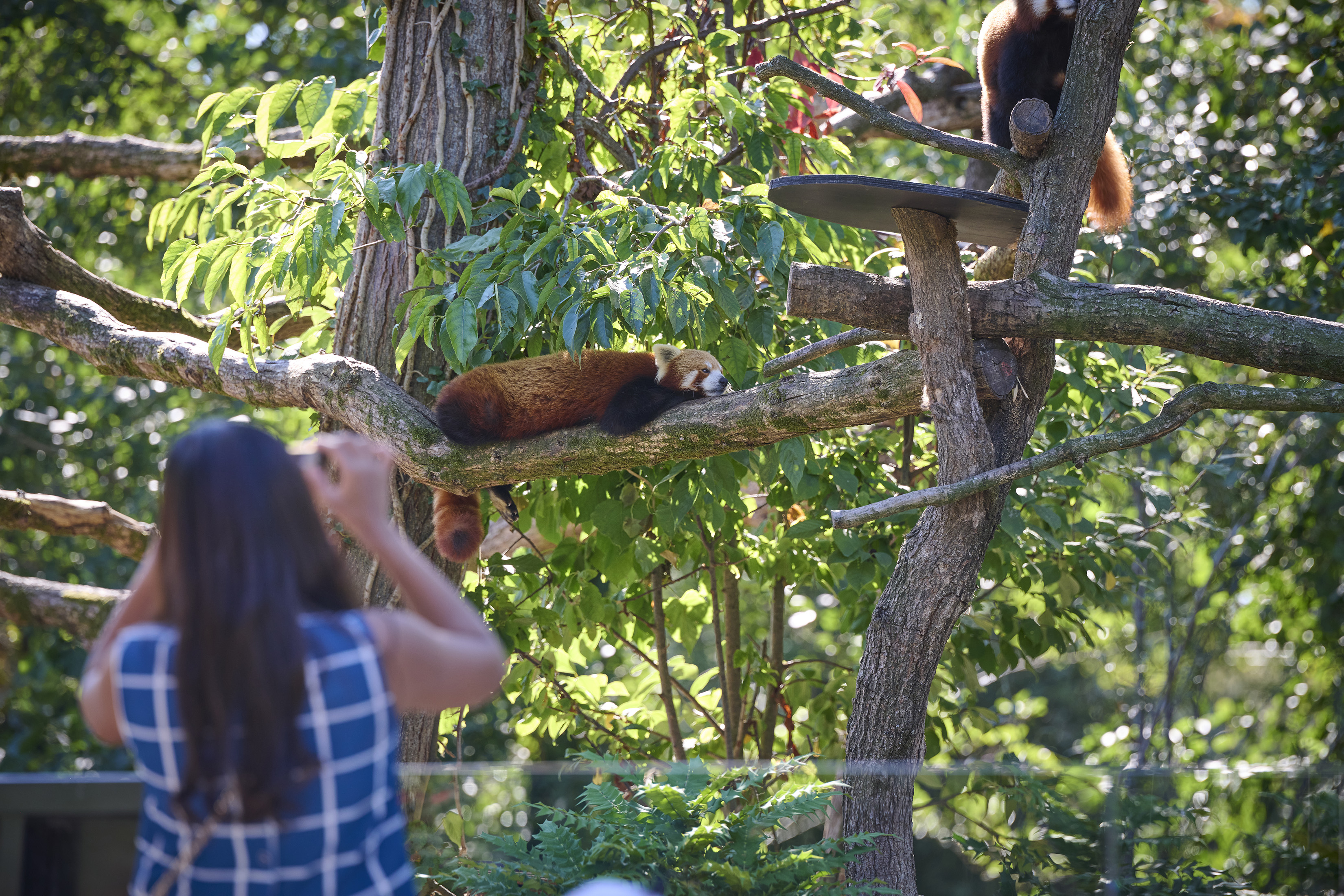 Zoo d'Amiens - Amiens Tourisme